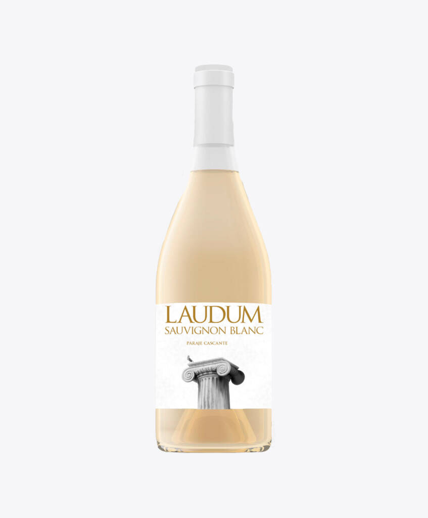 Laudum Sauvignon Blanc - Bodega Cooperativa De Castalla